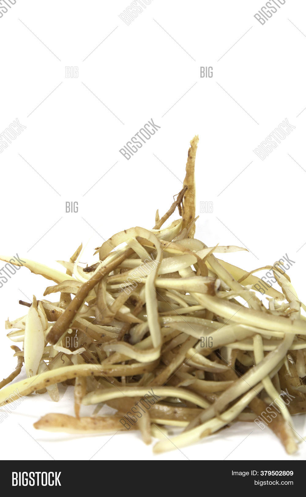 Sliced Fingerroot, Image & Photo (Free Trial) | Bigstock