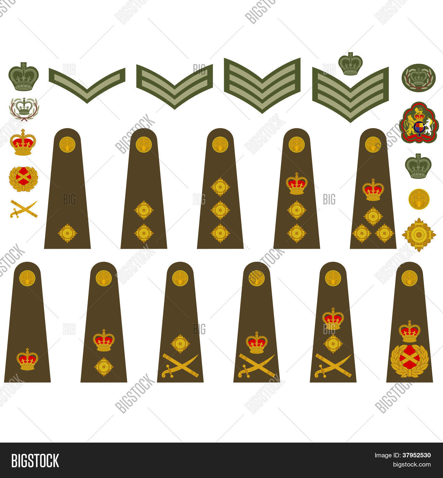 British Army Insignia Vector & Photo (Free Trial) | Bigstock