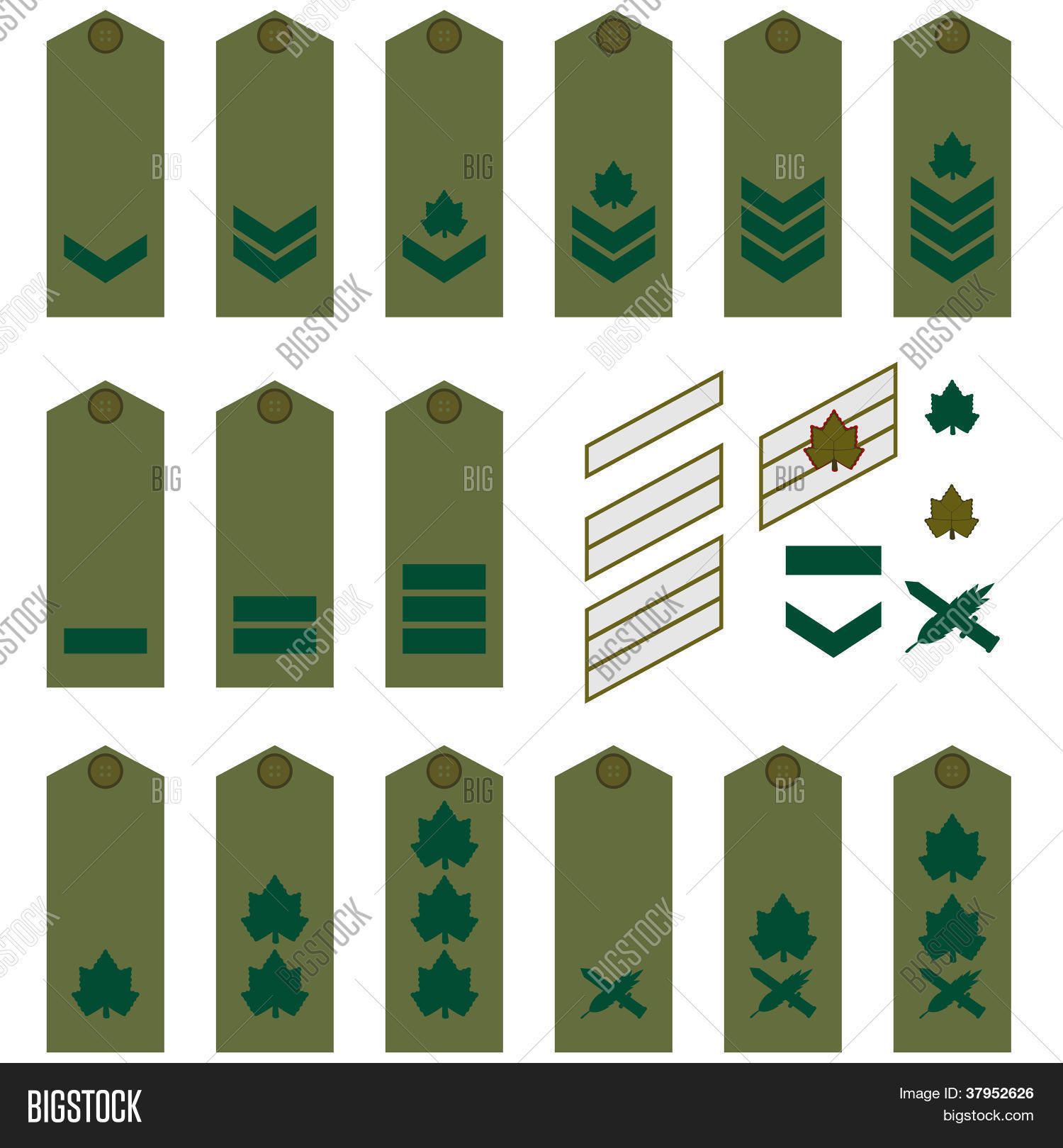 Israeli Army Insignia Vector & Photo (Free Trial) | Bigstock