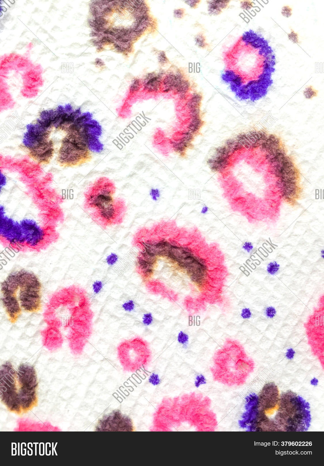 Realistic Leopard Image & Photo (Free Trial) | Bigstock