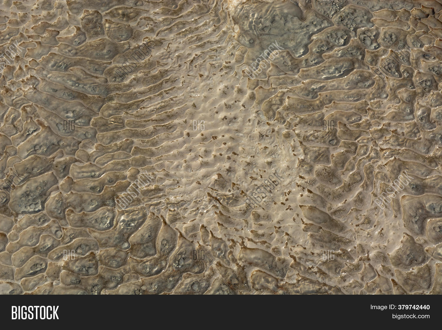 Surface Limestone Form Image & Photo (Free Trial) | Bigstock