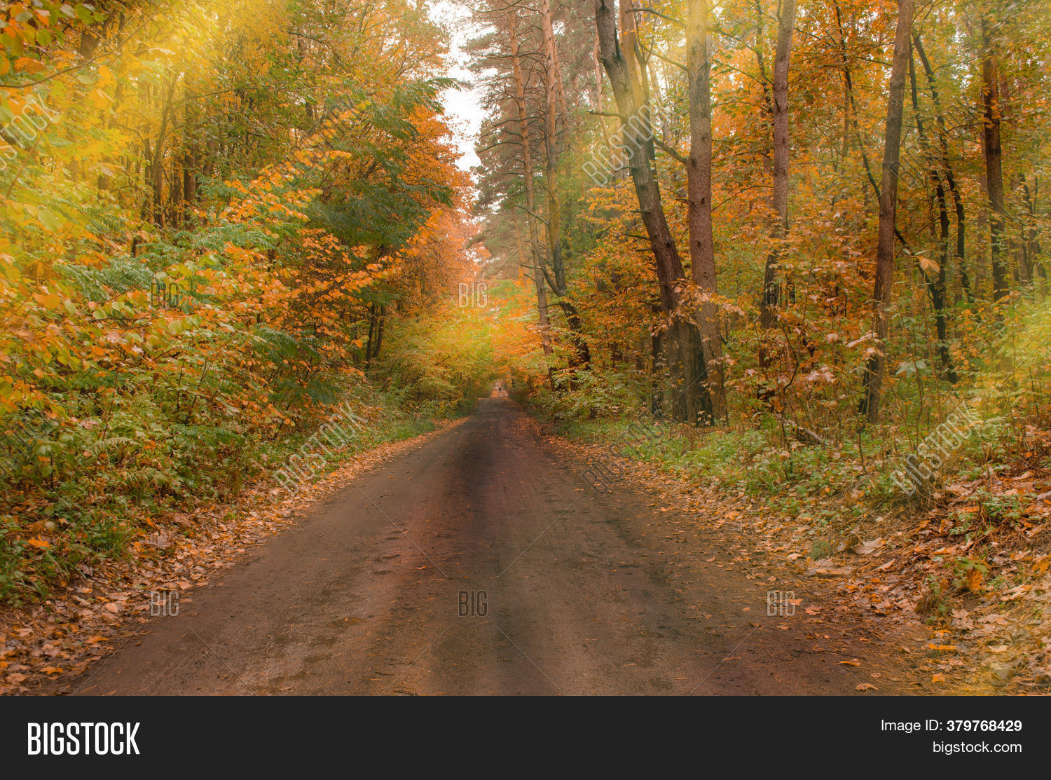 Amazing Natural Autumn Image & Photo (Free Trial) | Bigstock