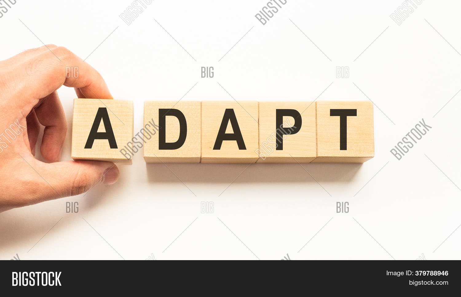 Adapt Word Wooden Image & Photo (Free Trial) | Bigstock
