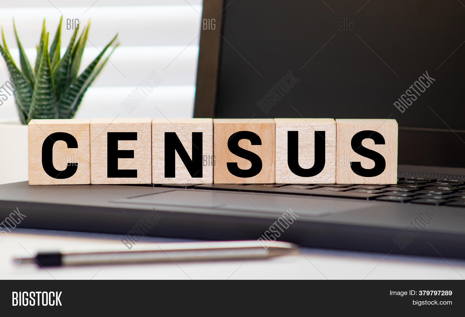 Census Word On Wood Image & Photo (Free Trial) | Bigstock