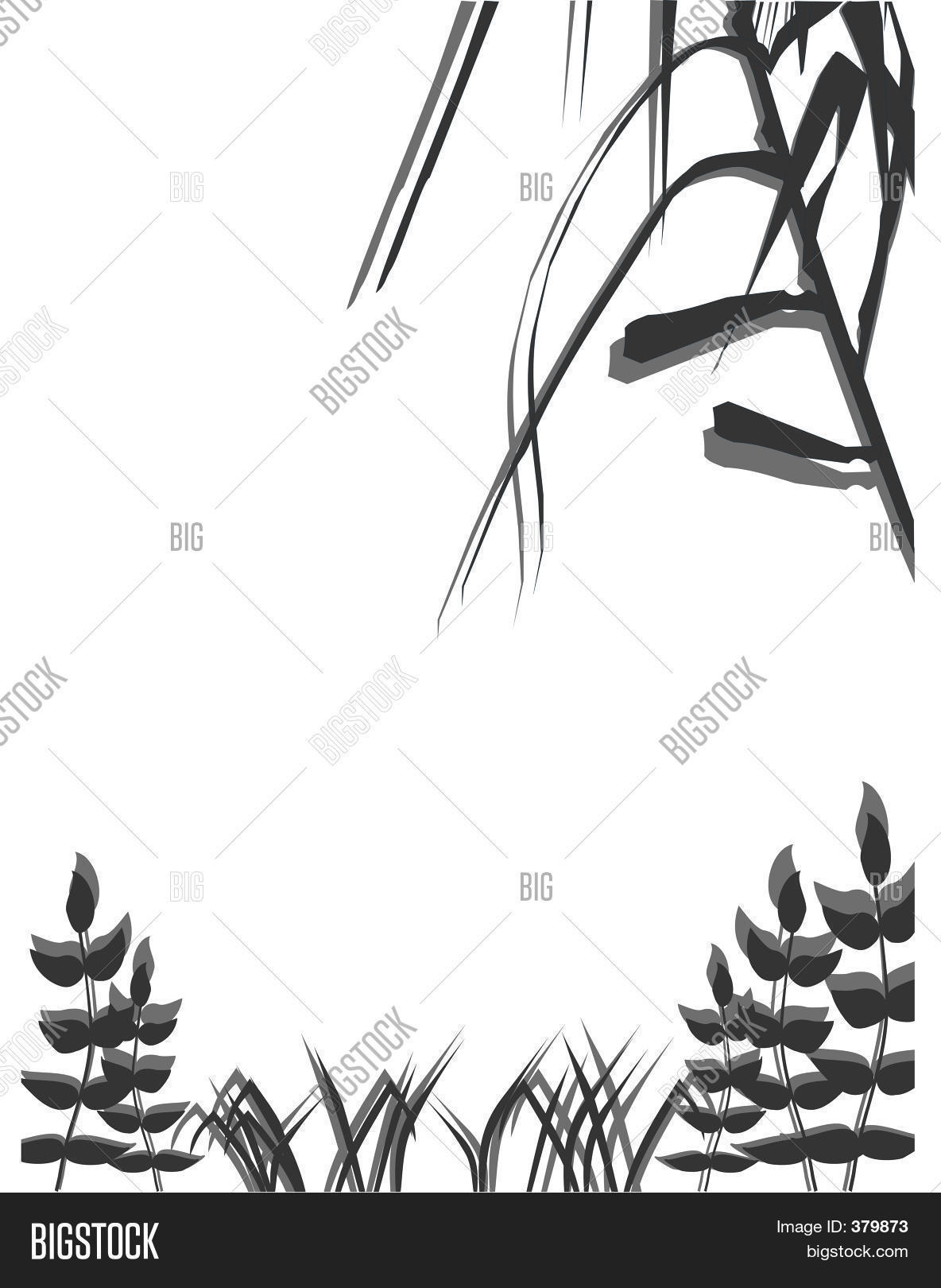 Plant Border Image & Photo (Free Trial) | Bigstock