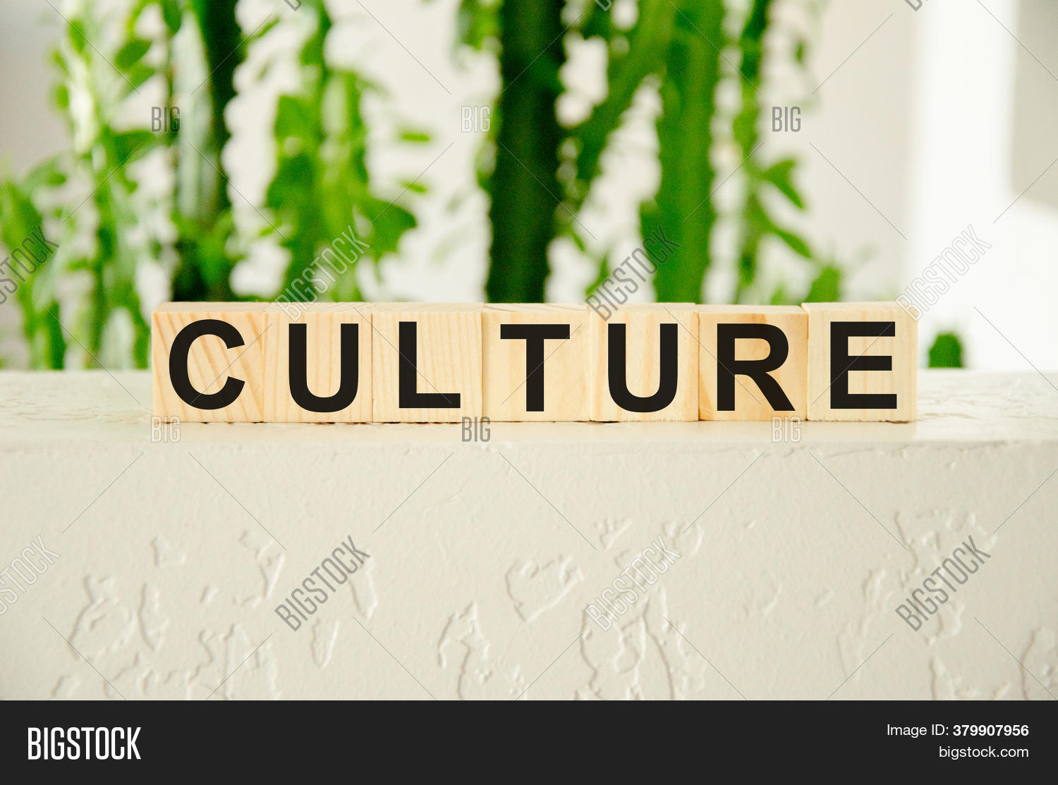 Culture Text Written Image & Photo (Free Trial) | Bigstock