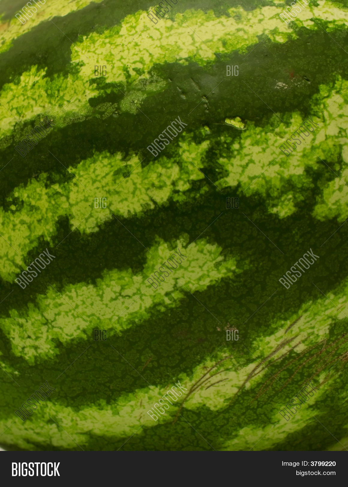 Striped Watermelon Image & Photo (Free Trial) | Bigstock