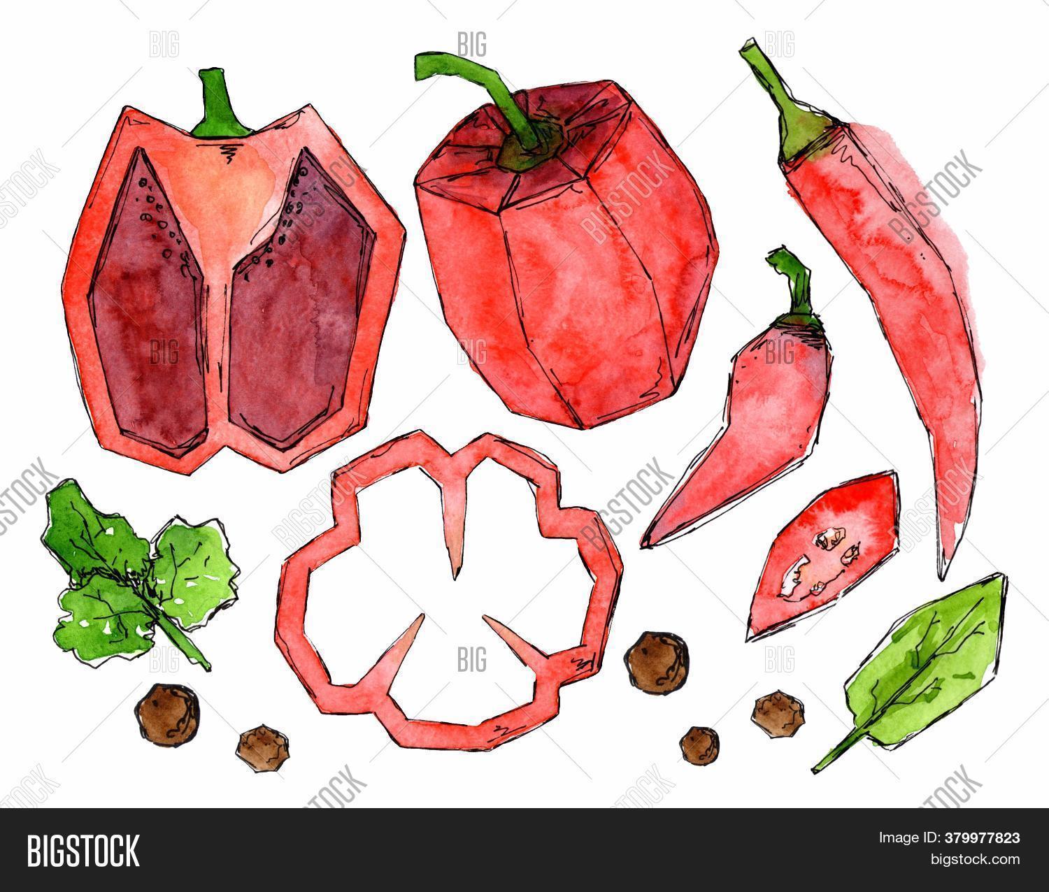Set Red Vegetables Image & Photo (Free Trial) | Bigstock