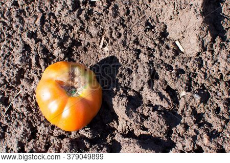 Decomposing Kitchen Image & Photo (Free Trial) | Bigstock