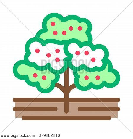 Coffee Tree Icon Vector & Photo (Free Trial) | Bigstock