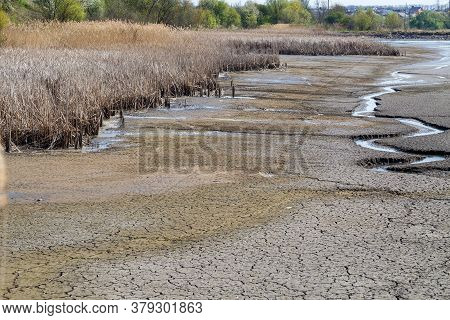 Dry Lake, Swamp Dry Image & Photo (Free Trial) | Bigstock