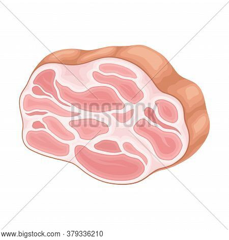 Beef Pork Slab Meat Vector & Photo (Free Trial) | Bigstock
