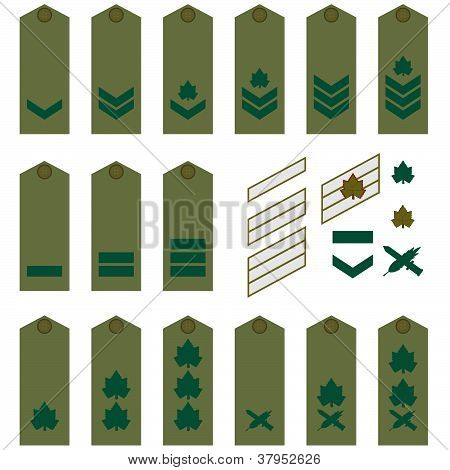 Israeli Army Insignia Vector & Photo (Free Trial) | Bigstock