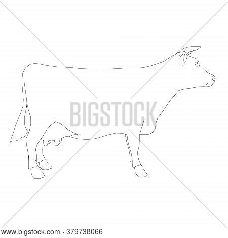 Contour Cow Black Vector & Photo (Free Trial) | Bigstock