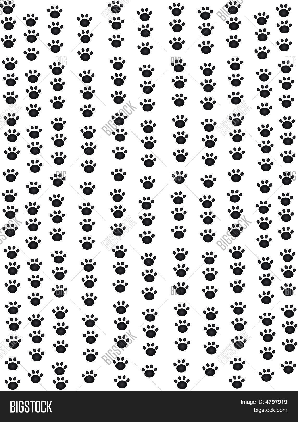 Paw Prints Row Vector & Photo (Free Trial) | Bigstock