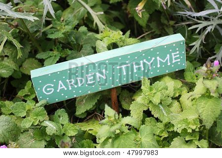 Garden Thyme Sign Image & Photo (Free Trial) | Bigstock