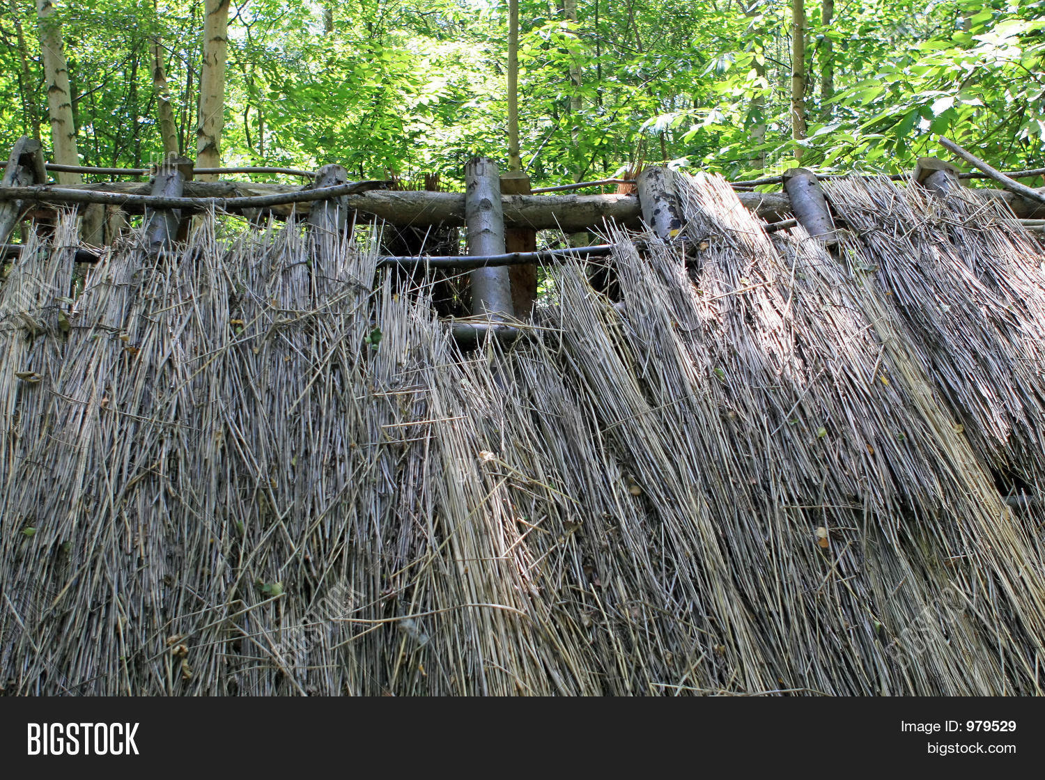 Small Thatched Cottage Image & Photo (Free Trial) | Bigstock