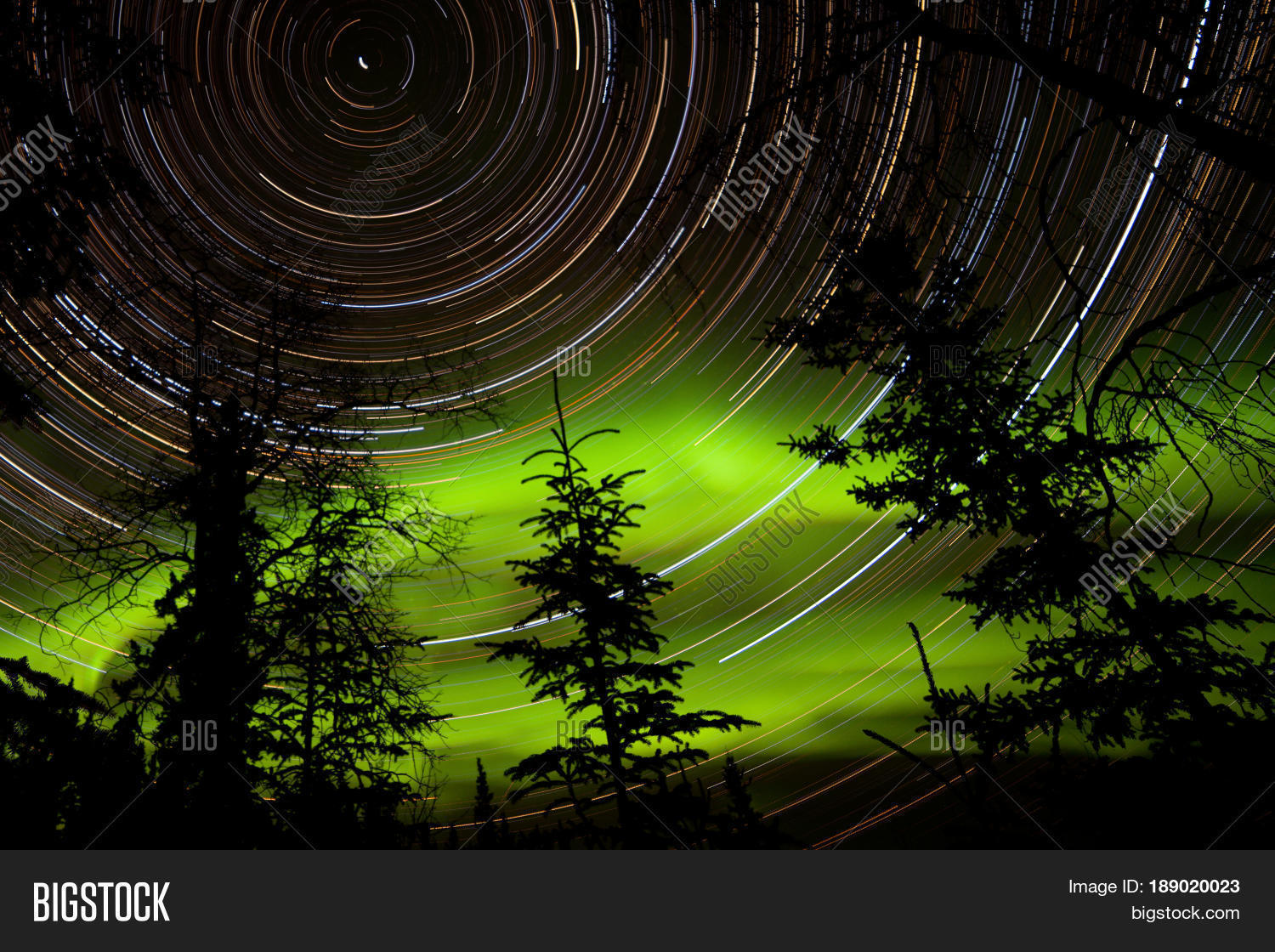 Star Trails Northern Image & Photo (Free Trial) | Bigstock