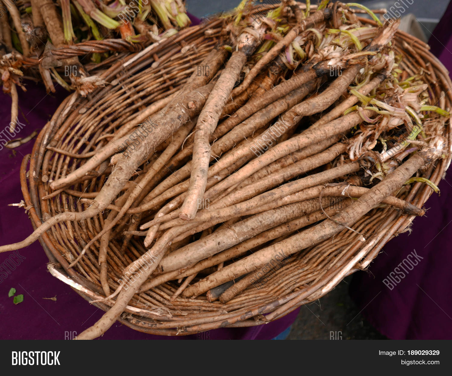 Basket Burdock Root On Image & Photo (Free Trial) | Bigstock
