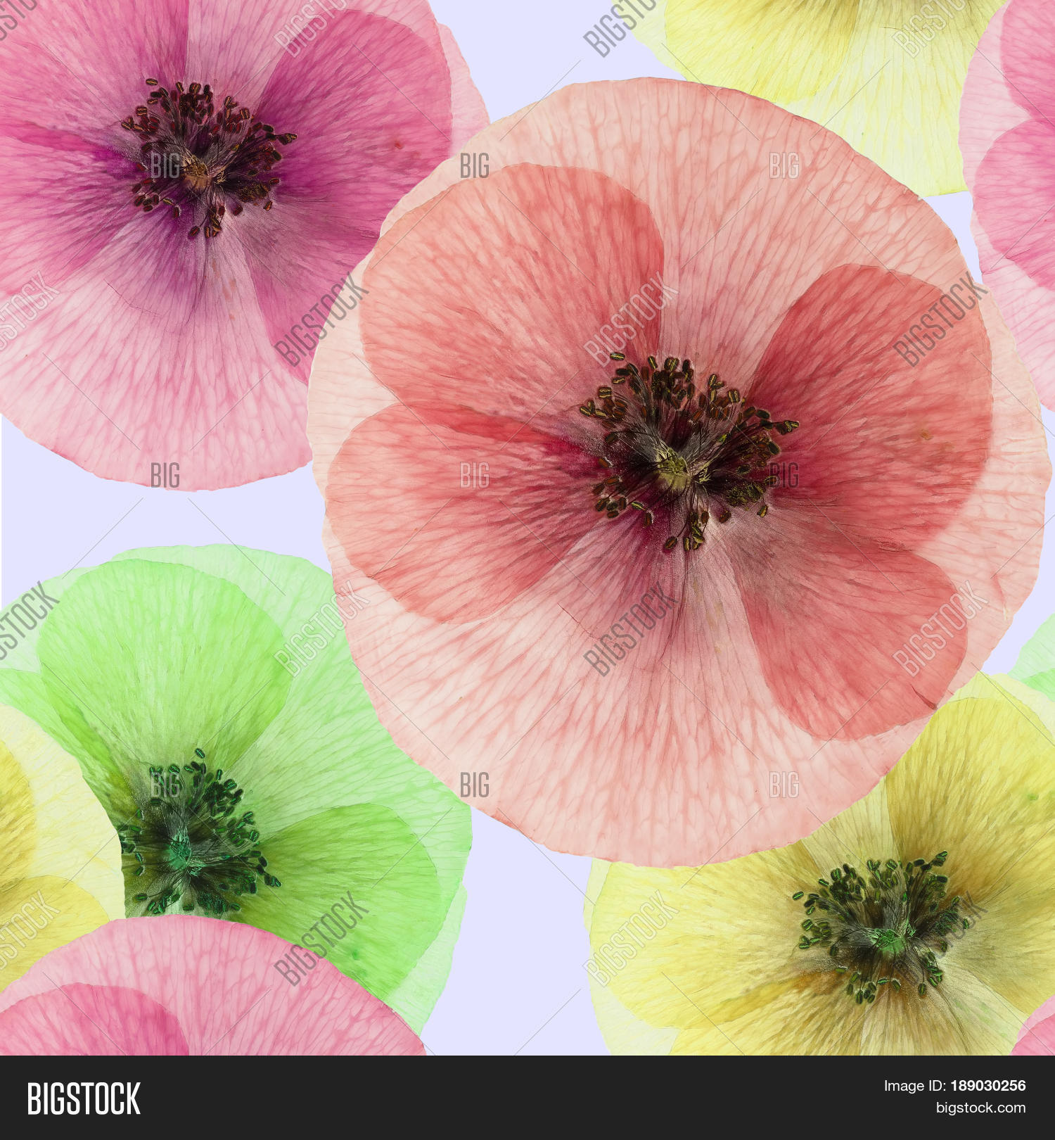 Poppy. Texture Flowers Image & Photo (Free Trial) | Bigstock