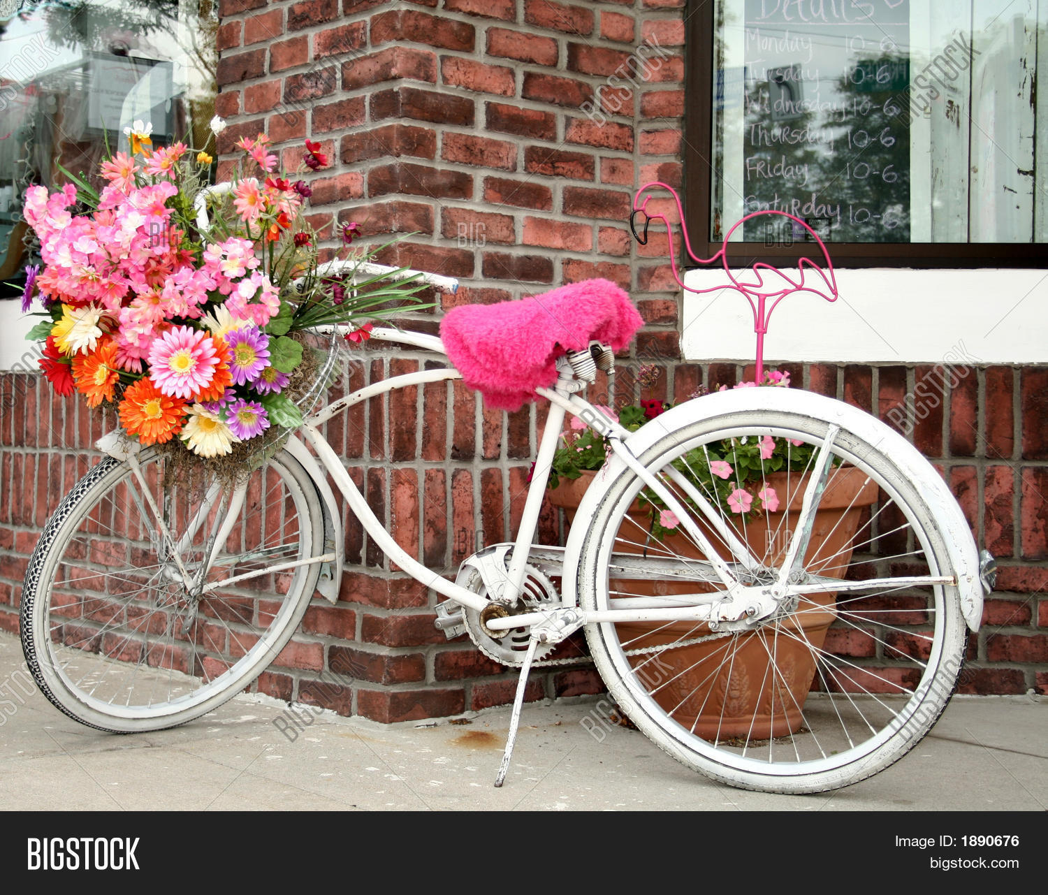 Bike-Flower Pot Image & Photo (Free Trial) | Bigstock