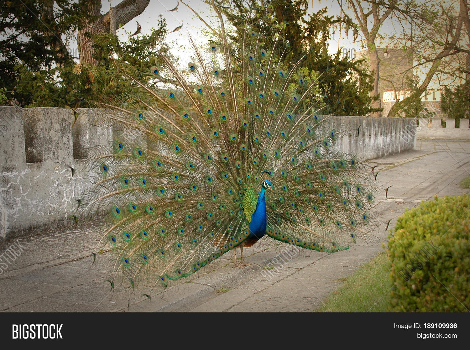 View On Beautiful Image & Photo (Free Trial) | Bigstock