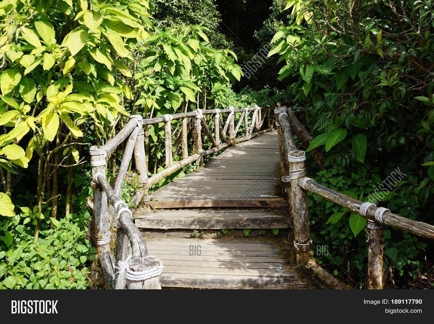 Close Nature Walkway Image & Photo (Free Trial) | Bigstock