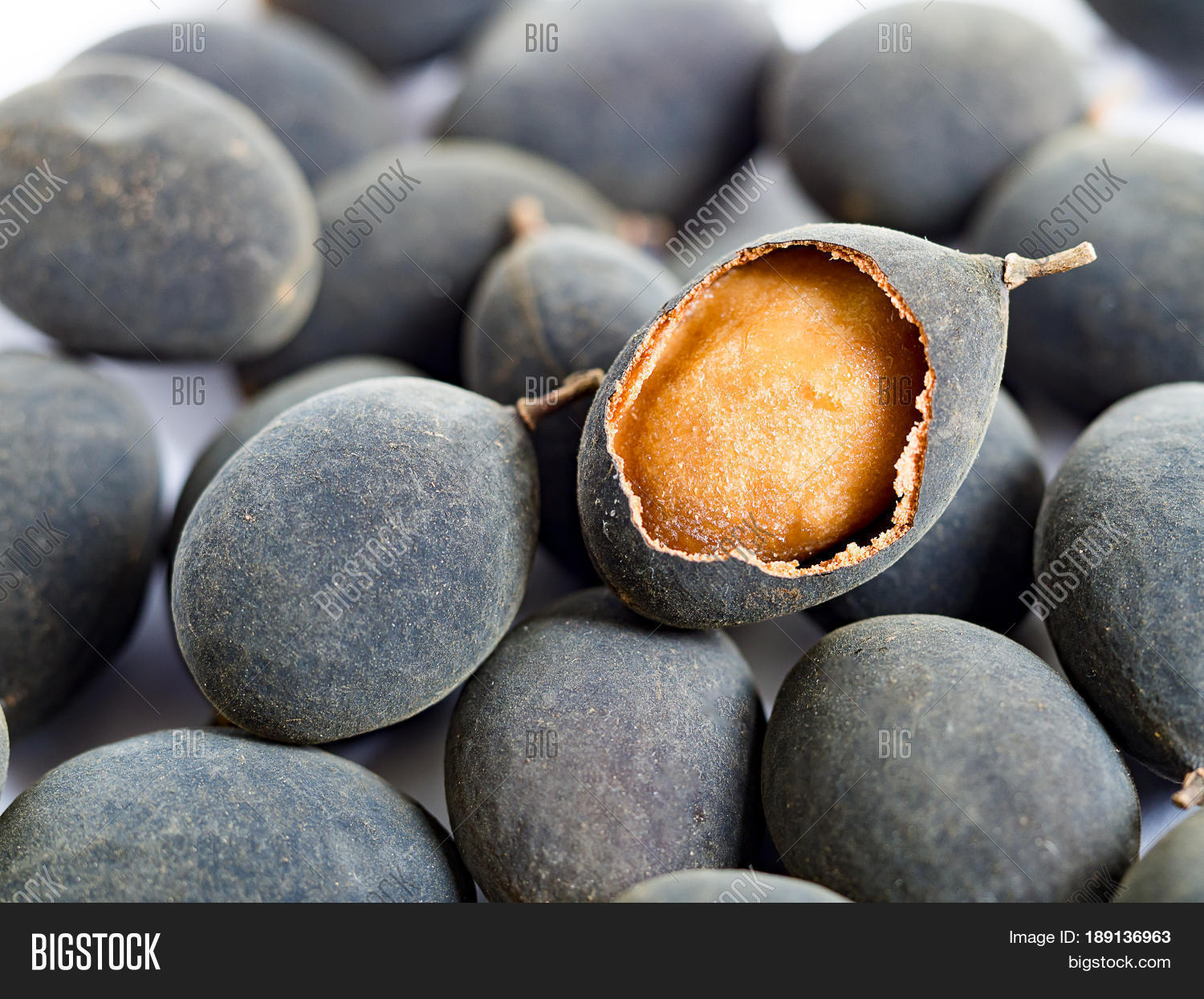 Dialium Cochinchinense Image & Photo (Free Trial) | Bigstock