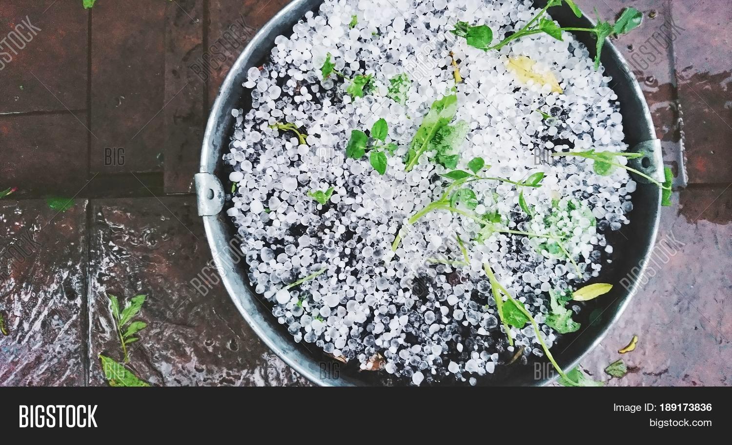 Plant Pot Destroyed By Image & Photo (Free Trial) | Bigstock