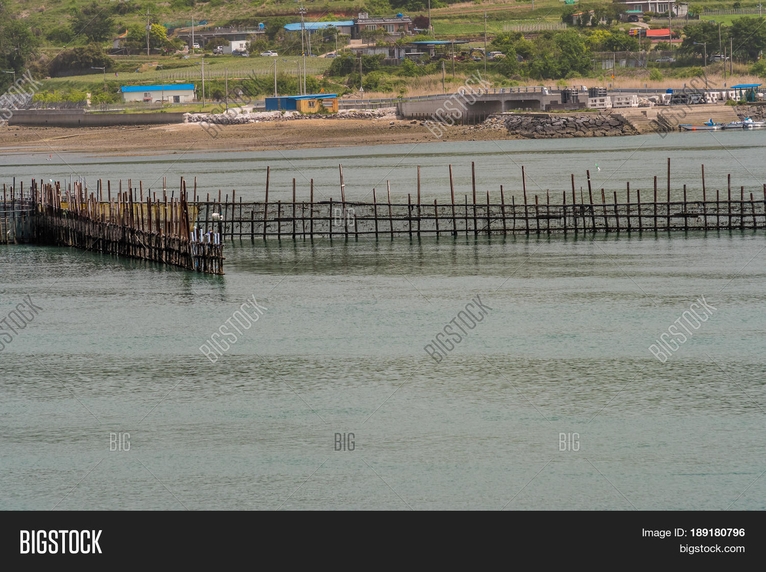 V-shaped Bamboo Trap Image & Photo (Free Trial) | Bigstock