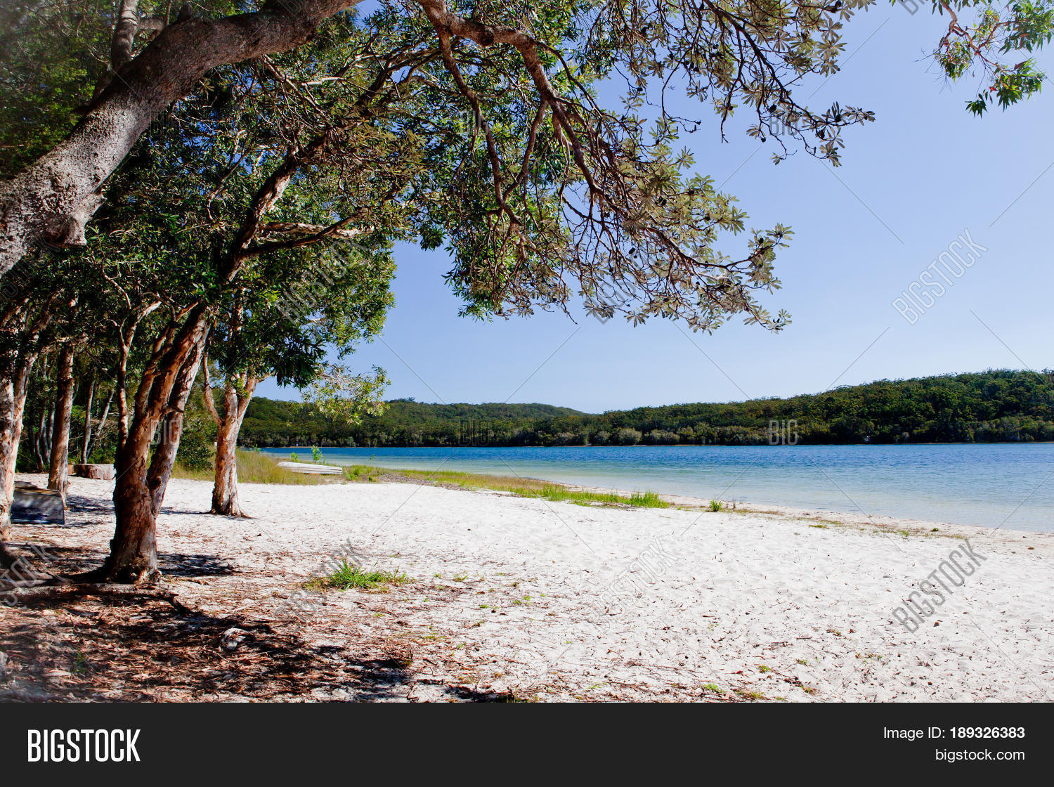 Lake Foreshore - Image & Photo (Free Trial) | Bigstock
