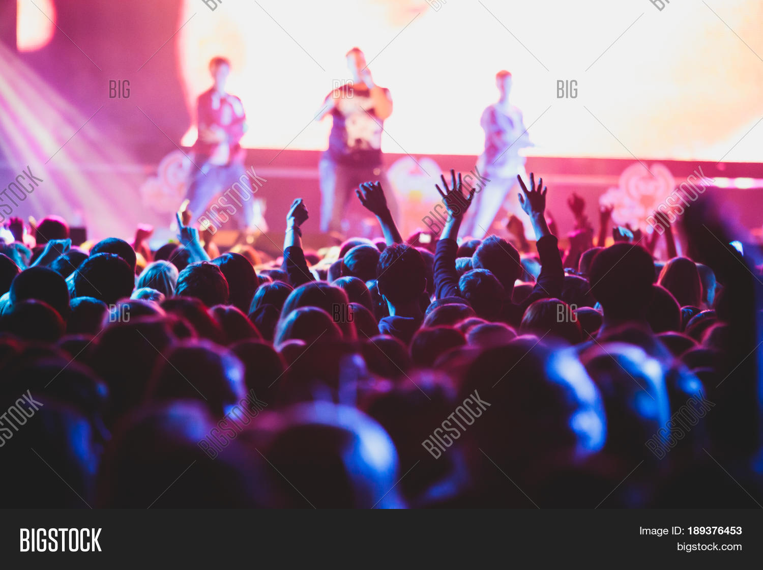 View Rock Concert Show Image & Photo (Free Trial) | Bigstock