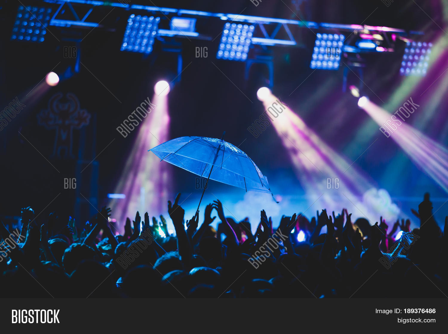 View Rock Concert Show Image & Photo (Free Trial) | Bigstock