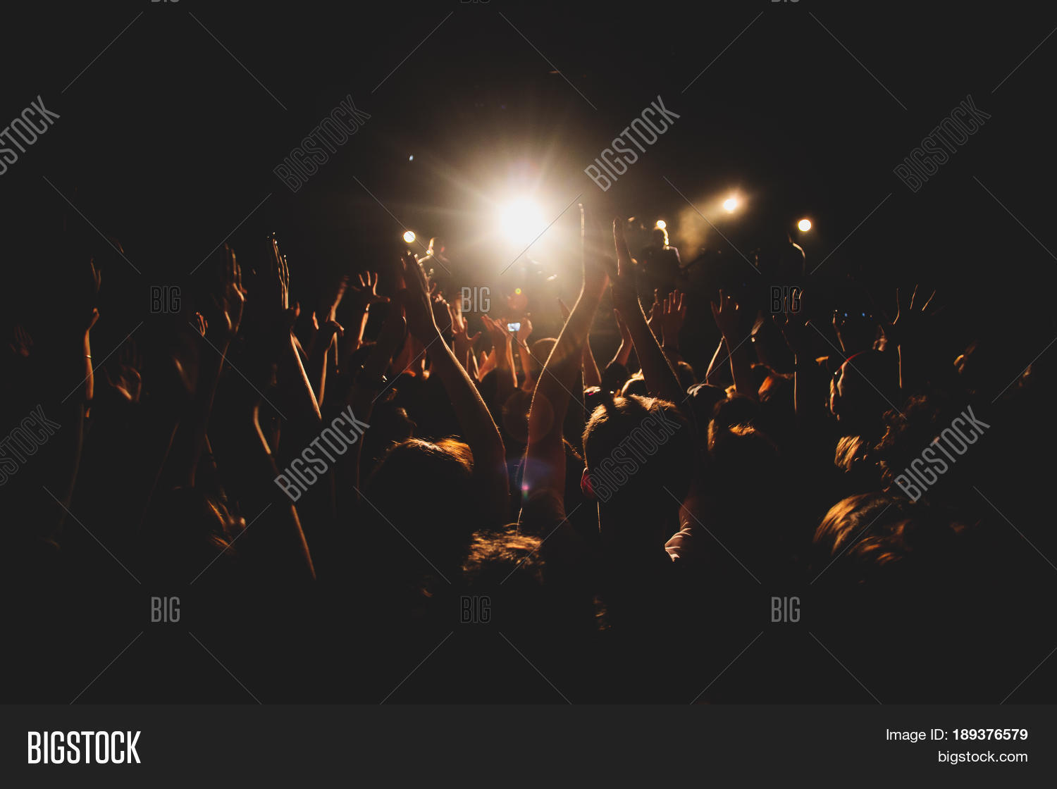 View Rock Concert Show Image & Photo (Free Trial) | Bigstock