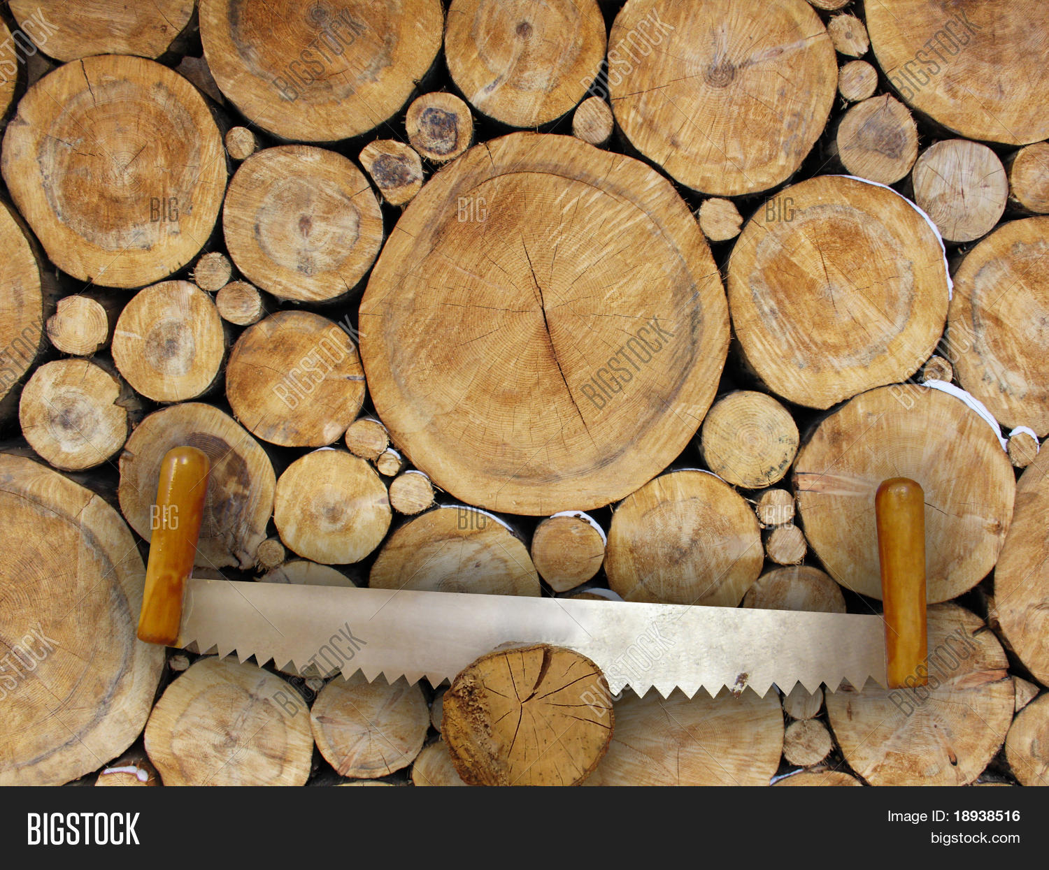 Two-handled Saw On Image & Photo (Free Trial) | Bigstock
