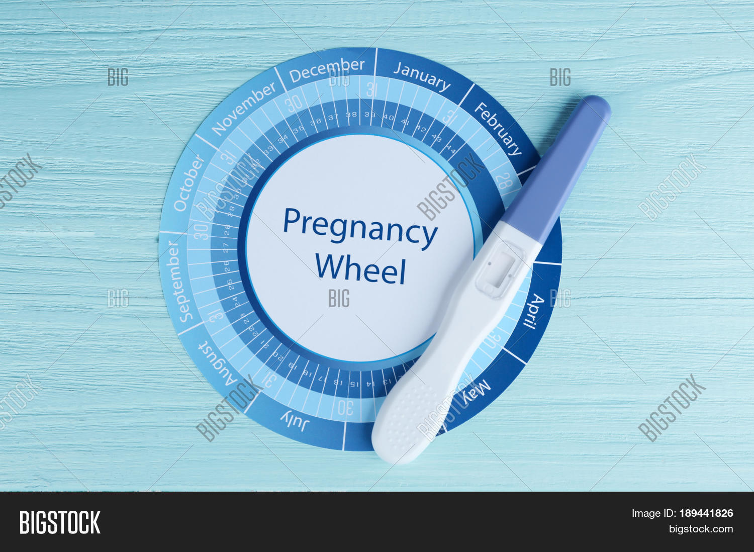 Pregnancy Wheel Image & Photo (Free Trial) | Bigstock
