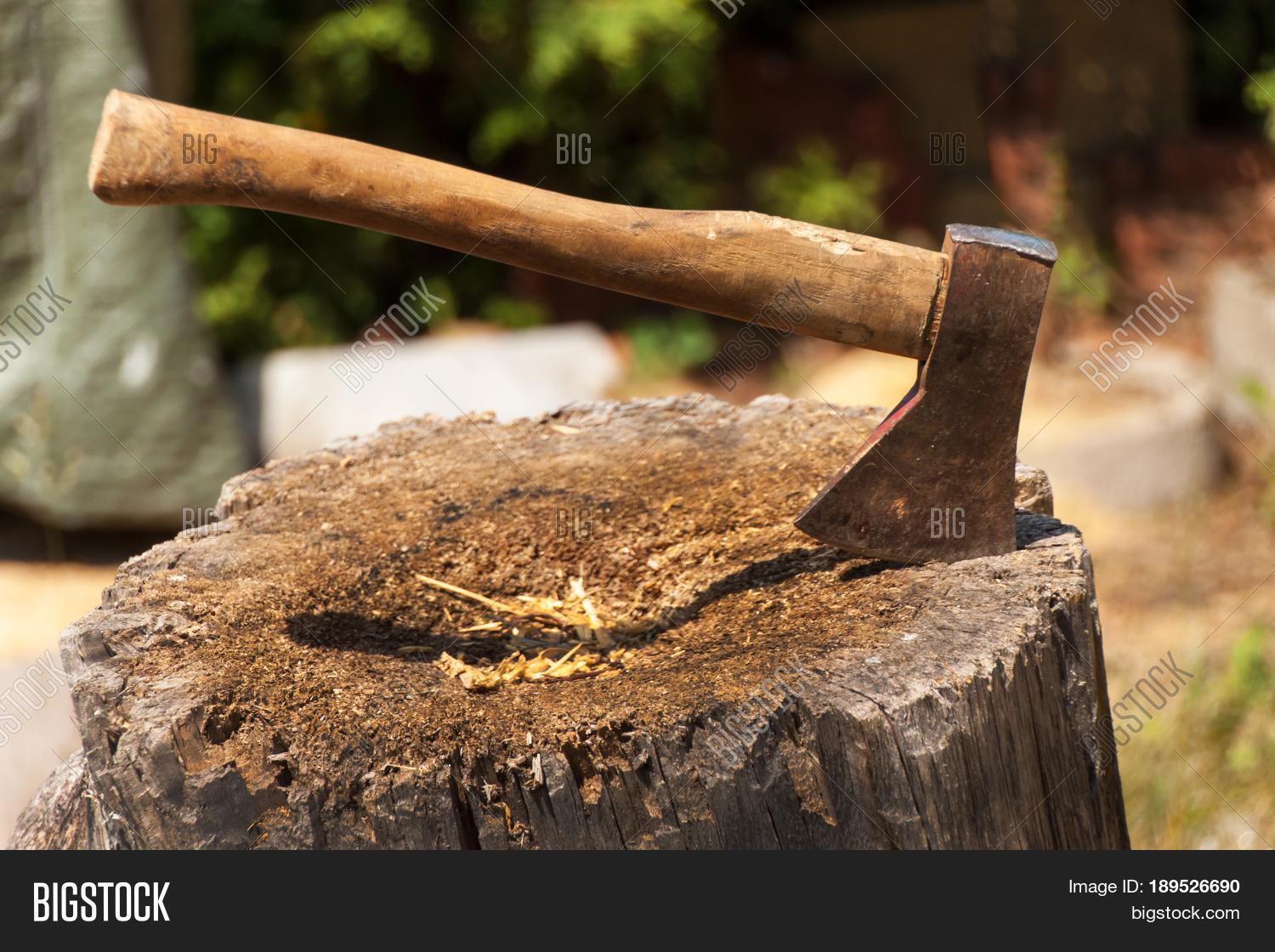 Axe Stump. Axe Ready Image & Photo (Free Trial) | Bigstock