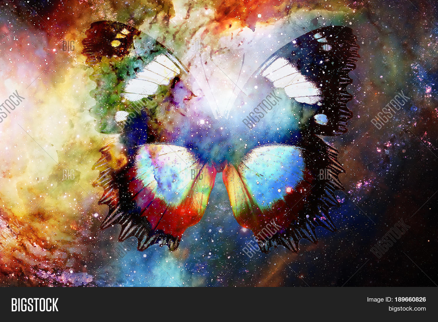 Butterfly Cosmic Space Image & Photo (Free Trial) | Bigstock