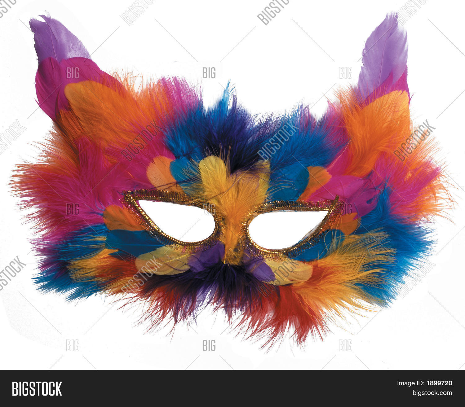 Carnival Mask Coloured Image & Photo (Free Trial) | Bigstock