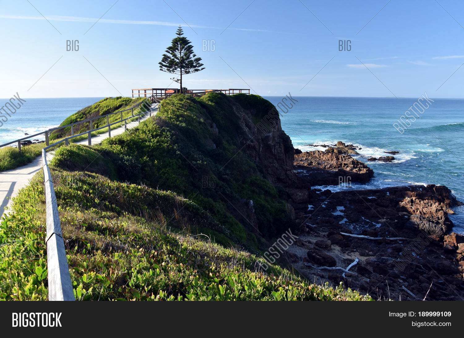 One Tree Point Tuross Image & Photo (Free Trial) | Bigstock