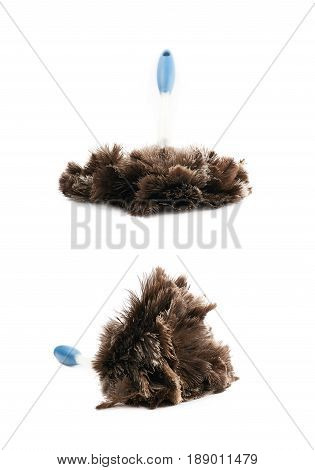 Feather Stick Duster Image & Photo (Free Trial) | Bigstock