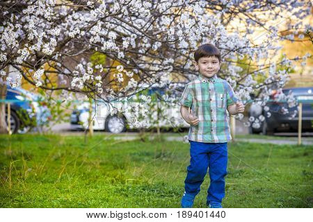 Toddler Boy Spring Image & Photo (Free Trial) | Bigstock