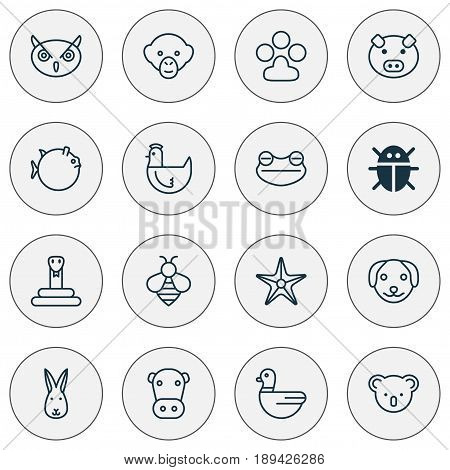 Zoology Icons Set. Vector & Photo (Free Trial) | Bigstock