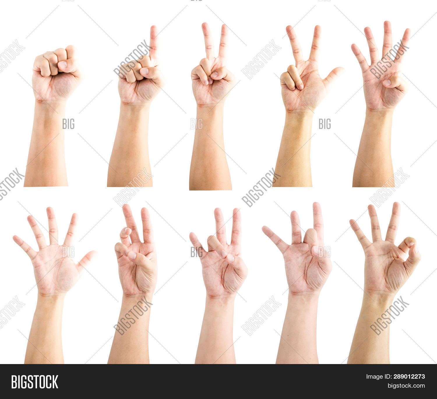 Hand Collection Count Image & Photo (Free Trial) | Bigstock