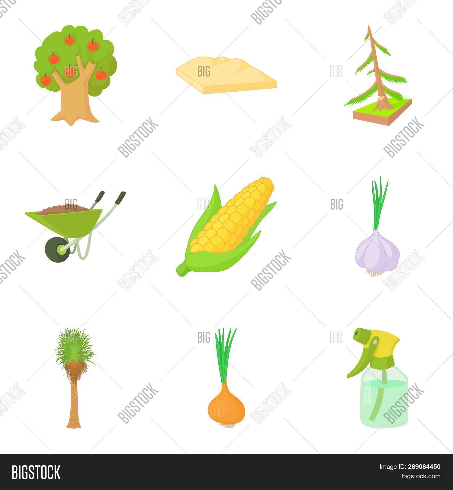 Corn Field Icons Set. Image & Photo (Free Trial) | Bigstock