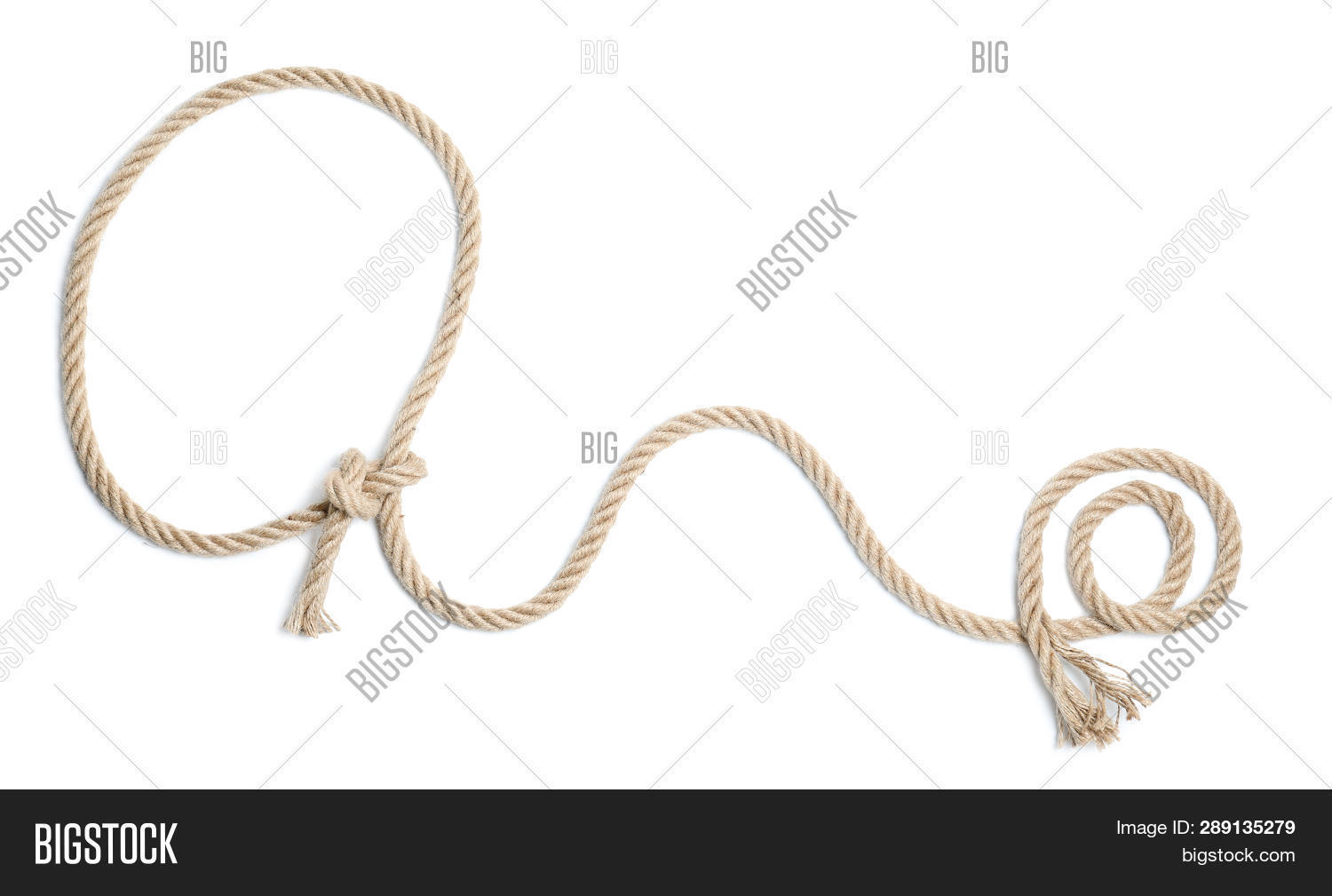 Lasso Made Cotton Rope Image & Photo (Free Trial) | Bigstock