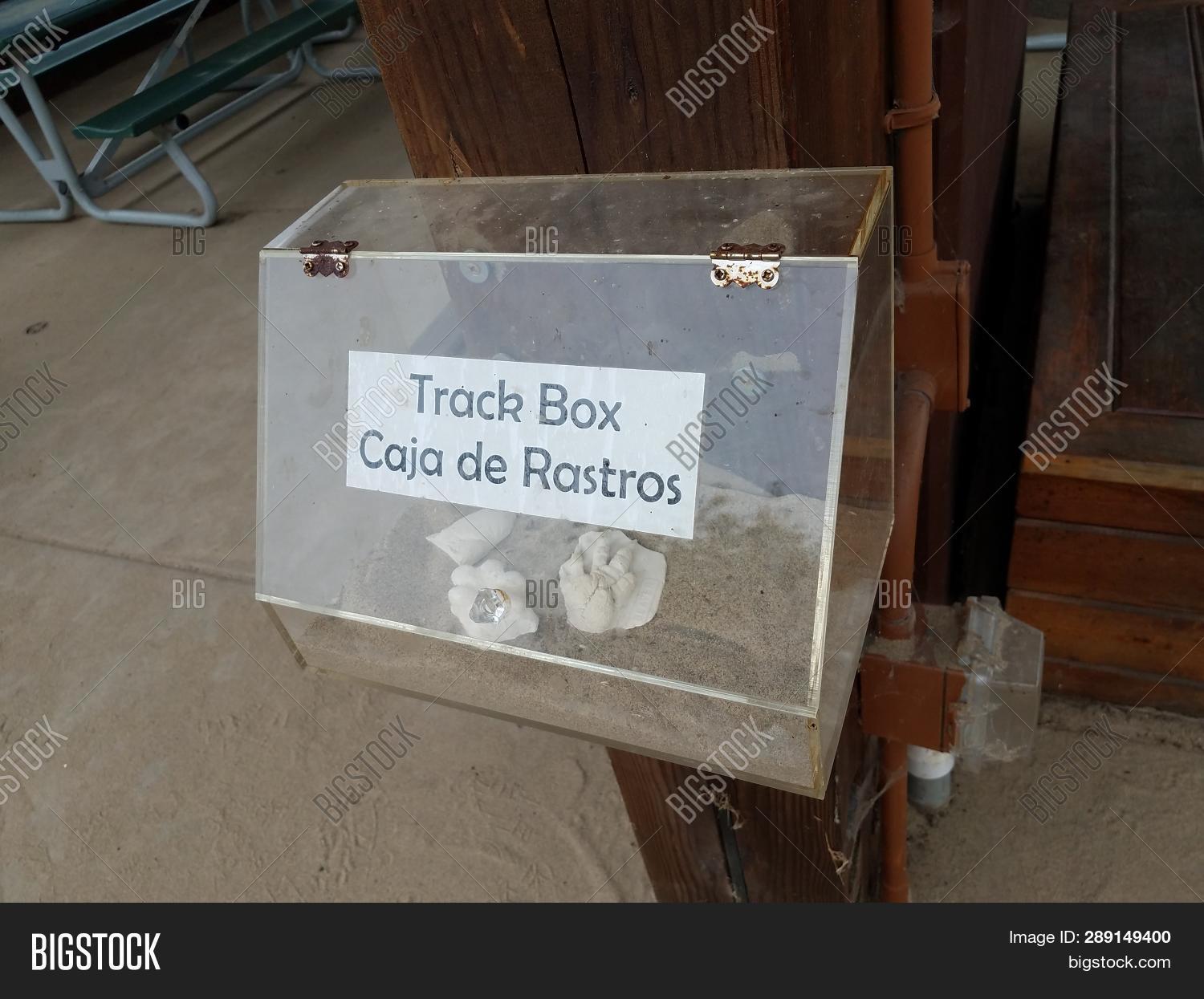 Plastic Box Plaster Image & Photo (Free Trial) | Bigstock
