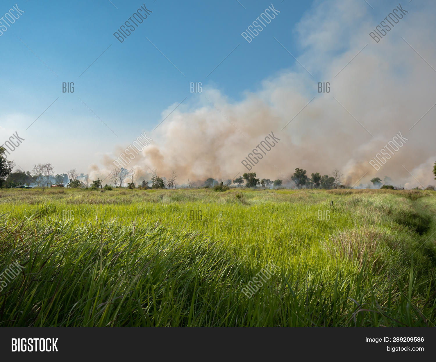 Pollution Agricultural Image & Photo (Free Trial) | Bigstock