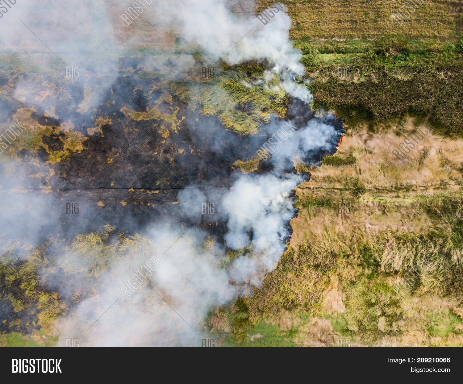 Pollution Agricultural Image & Photo (Free Trial) | Bigstock