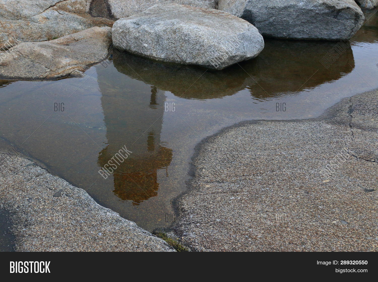 Small Puddle
